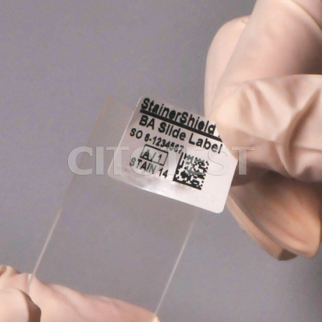 Plain Microscope Slides - Buy Microscope Slides with plain surface ...