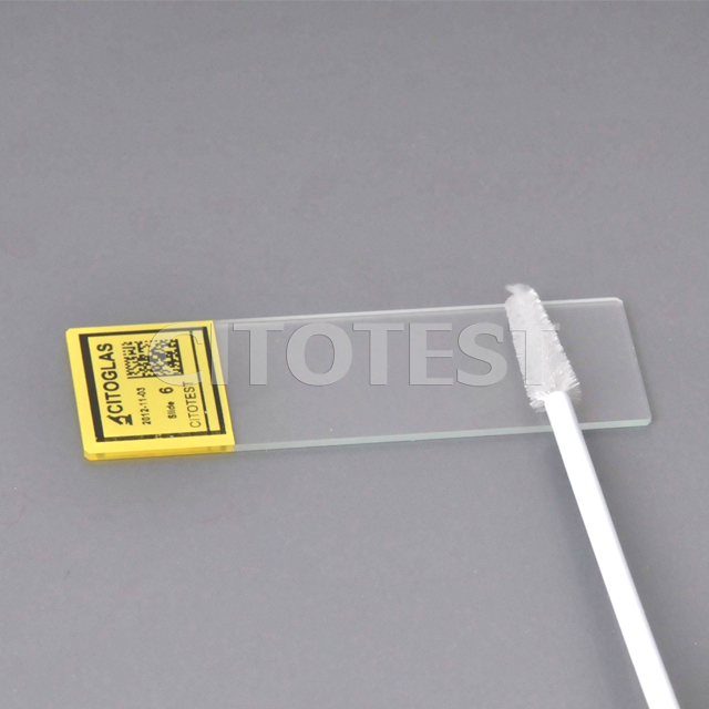 Cytology Brush - Buy Cytology Brush Product on Citotest Labware ...